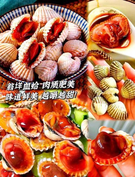 血蛤多少钱一斤_血蛤价格行情-第1张图片-山城妙识