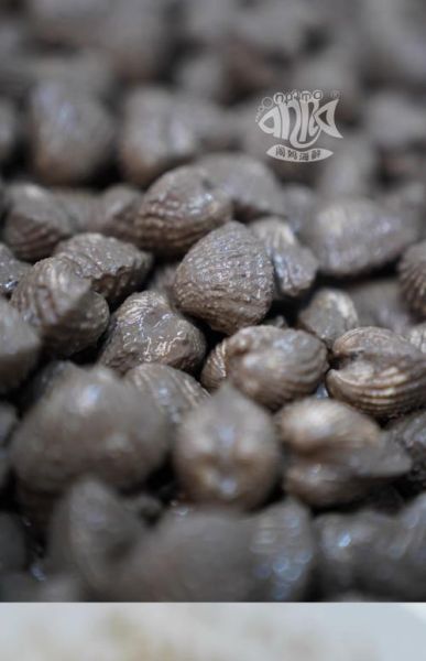 血蛤多少钱一斤_血蛤价格行情-第3张图片-山城妙识