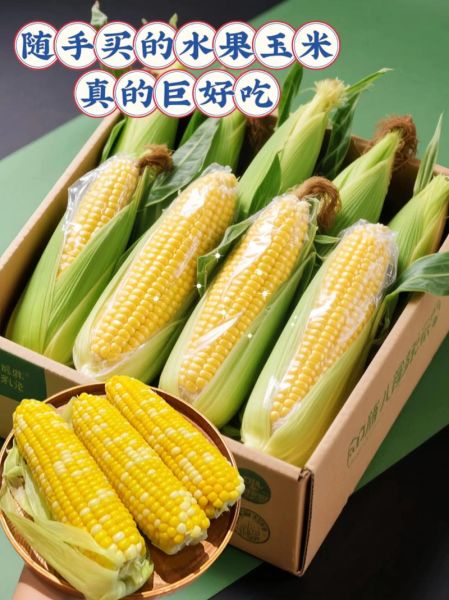 水果玉米批发联系方式_水果玉米批发价格多少钱一斤-第1张图片-山城妙识 水果玉米批发联系方式_水果玉米批发价格多少钱一斤-第1张图片-山城妙识