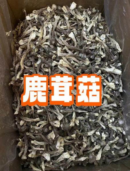 鹿茸价格多少一克_鹿茸多少钱一克-第2张图片-山城妙识 鹿茸价格多少一克_鹿茸多少钱一克-第2张图片-山城妙识
