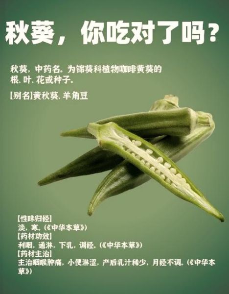 秋葵的功效与作用及副作用_秋葵怎么吃最健康-第2张图片-山城妙识 秋葵的功效与作用及副作用_秋葵怎么吃最健康-第2张图片-山城妙识