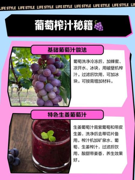 鲜榨葡萄汁怎么做_鲜榨葡萄汁要不要加水-第2张图片-山城妙识