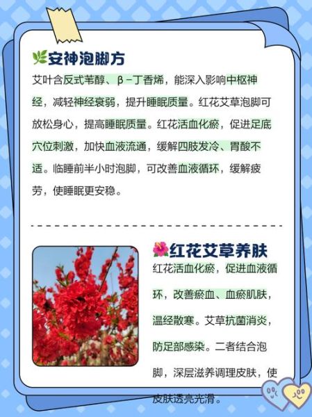 红头艾草图片_红头艾草功效与作用-第3张图片-山城妙识