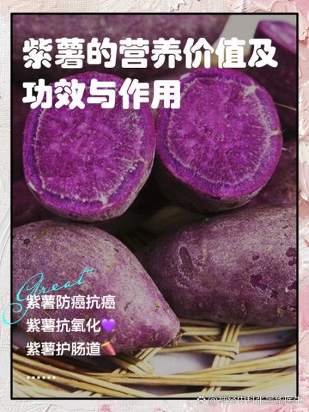 紫薯孕妇能吃吗_紫薯的功效与作用孕妇-第1张图片-山城妙识 紫薯孕妇能吃吗_紫薯的功效与作用孕妇-第1张图片-山城妙识