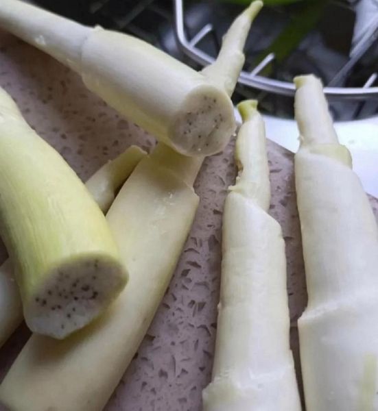 茭白里面有黑点是怎么回事_茭白黑点还能吃吗-第1张图片-山城妙识