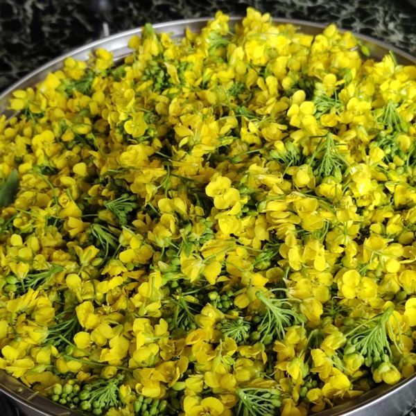 菜花饼怎么做好吃_菜花饼的家常做法-第1张图片-山城妙识 菜花饼怎么做好吃_菜花饼的家常做法-第1张图片-山城妙识