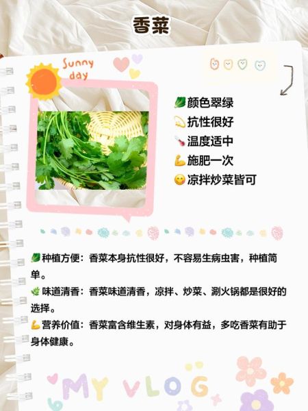 绿叶菜有哪些品种_怎么挑选更新鲜-第3张图片-山城妙识 绿叶菜有哪些品种_怎么挑选更新鲜-第3张图片-山城妙识