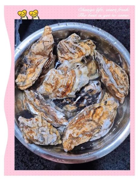 海蛎子怎么煮_海蛎子煮多久才熟-第1张图片-山城妙识
