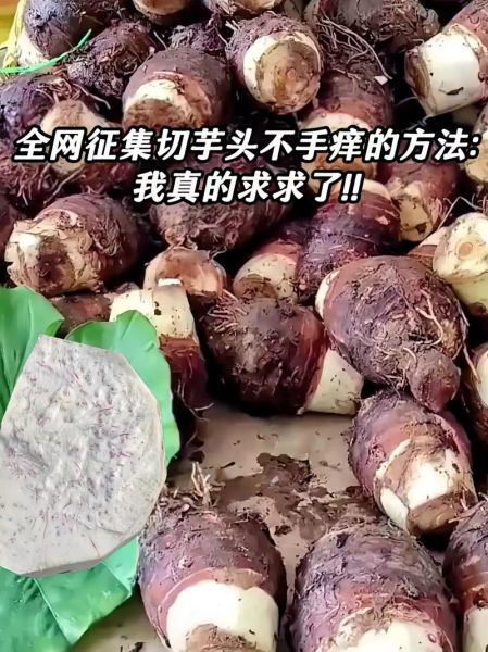 芋头手痒怎么办_芋头痒手快速止痒方法-第3张图片-山城妙识