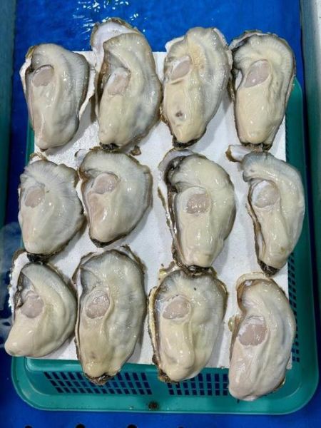 海蛎子怎么煮_海蛎子煮多久才熟-第2张图片-山城妙识