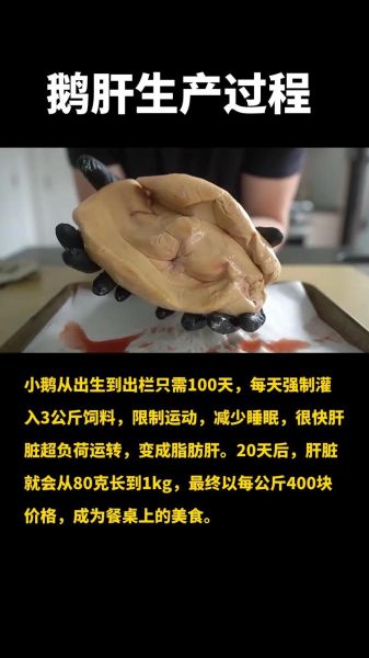 鹅肝真的残忍吗_鹅肝生产过程揭秘-第1张图片-山城妙识
