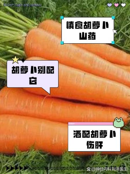 胡萝卜不能和什么一起吃_胡萝卜相克食物有哪些-第1张图片-山城妙识 胡萝卜不能和什么一起吃_胡萝卜相克食物有哪些-第1张图片-山城妙识