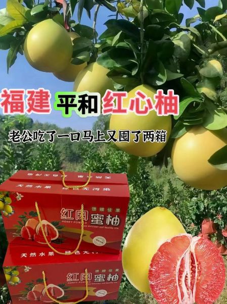 红心柚子图片大全_红心柚子怎么挑选-第2张图片-山城妙识 红心柚子图片大全_红心柚子怎么挑选-第2张图片-山城妙识