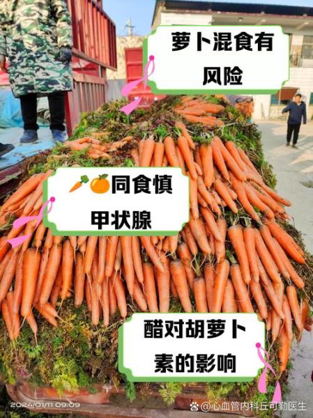 胡萝卜不能和什么一起吃_胡萝卜相克食物有哪些-第3张图片-山城妙识 胡萝卜不能和什么一起吃_胡萝卜相克食物有哪些-第3张图片-山城妙识