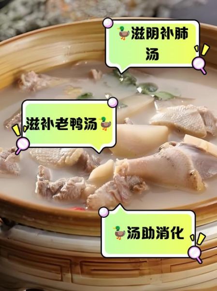 山药老鸭汤怎么炖好喝_山药老鸭汤的家常做法-第1张图片-山城妙识