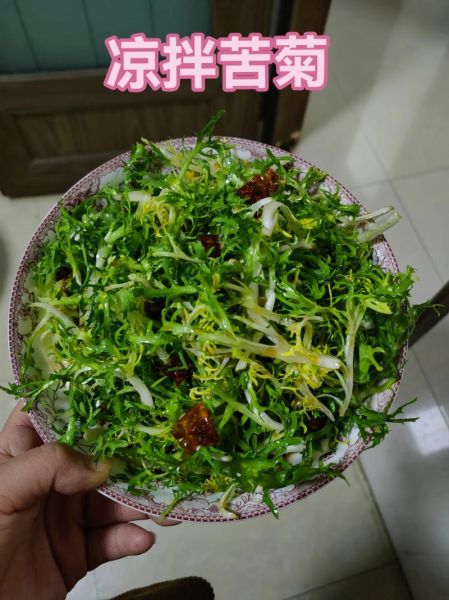 苦菊和什么一起凉拌最好吃_苦菊凉拌做法大全-第1张图片-山城妙识 苦菊和什么一起凉拌最好吃_苦菊凉拌做法大全-第1张图片-山城妙识