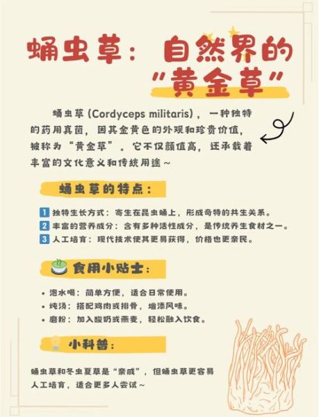 蛹虫草的功效与作用_蛹虫草怎么吃效果最好-第1张图片-山城妙识