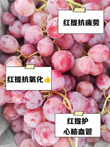 红提子的功效与禁忌_哪些人不能吃-第2张图片-山城妙识