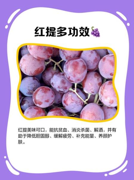 红提子的功效与禁忌_哪些人不能吃-第3张图片-山城妙识