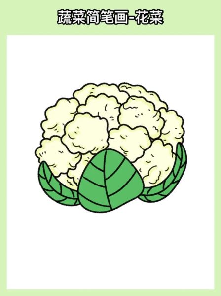 花菜简笔画怎么画_花菜简笔画图片大全-第1张图片-山城妙识