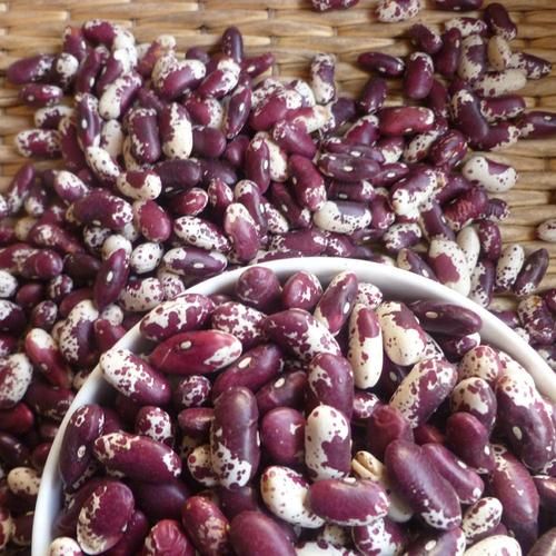 大黑花芸豆的功效与作用_怎么吃最有效-第3张图片-山城妙识