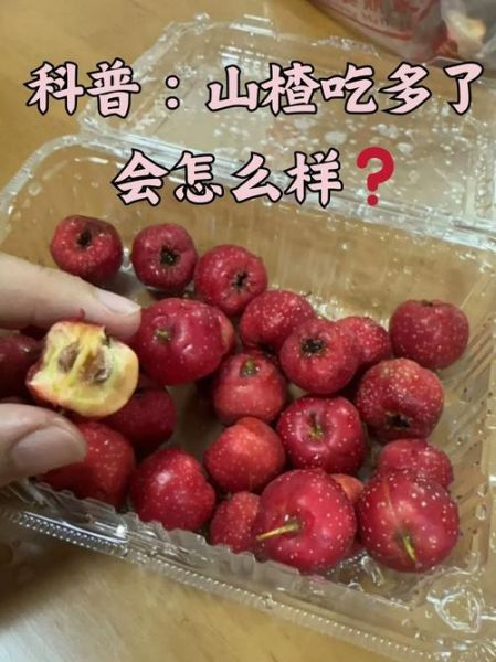 山楂吃多了会怎么样_山楂过量副作用-第1张图片-山城妙识