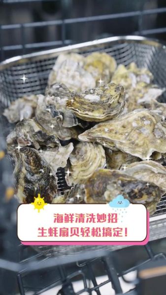 海贝的做法大全_海贝怎么清洗才干净-第2张图片-山城妙识