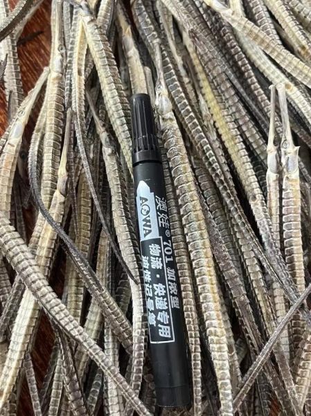 海龙的功效与作用价格_海龙多少钱一克-第2张图片-山城妙识 海龙的功效与作用价格_海龙多少钱一克-第2张图片-山城妙识