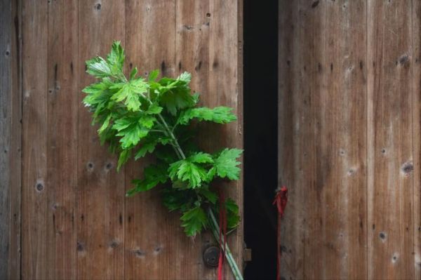 艾叶水洗下身禁忌_孕妇能用吗-第1张图片-山城妙识