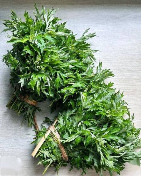 艾叶水洗下身禁忌_孕妇能用吗-第2张图片-山城妙识