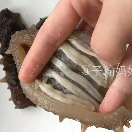 鲜海参怎么泡发最好_海参泡发全过程-第3张图片-山城妙识