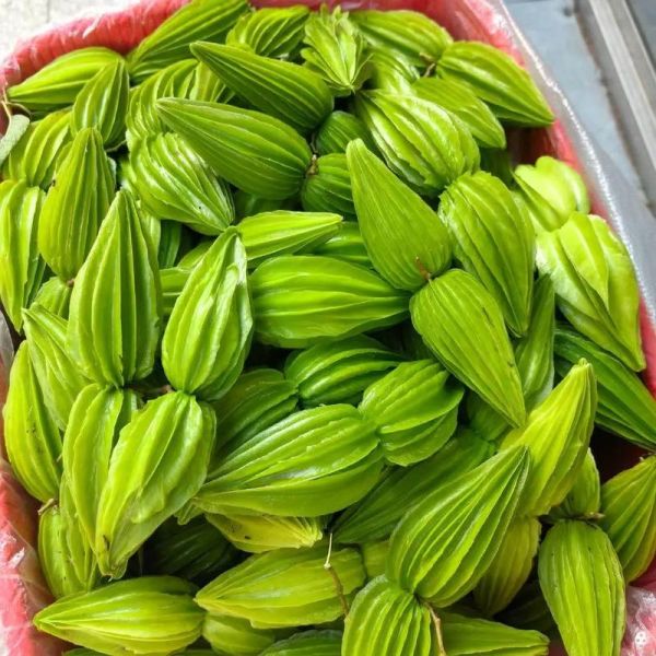 野苦瓜的功效与作用_野苦瓜怎么吃降血糖-第3张图片-山城妙识 野苦瓜的功效与作用_野苦瓜怎么吃降血糖-第3张图片-山城妙识