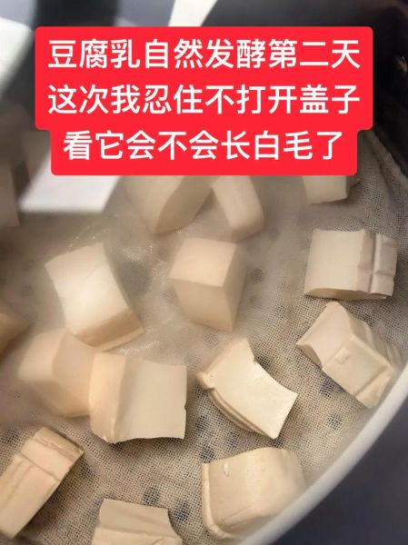 白豆腐乳怎么做_白豆腐乳发酵多久能吃-第1张图片-山城妙识 白豆腐乳怎么做_白豆腐乳发酵多久能吃-第1张图片-山城妙识