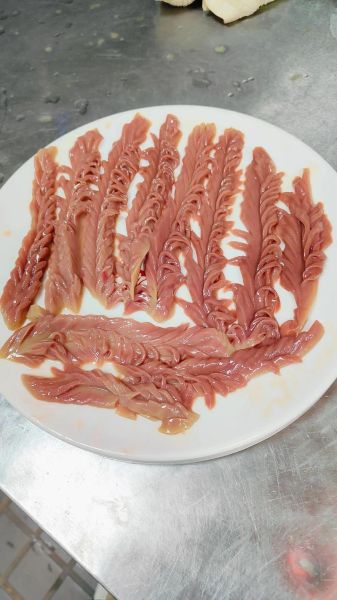 腰花怎么切_腰花切法图解-第1张图片-山城妙识 腰花怎么切_腰花切法图解-第1张图片-山城妙识