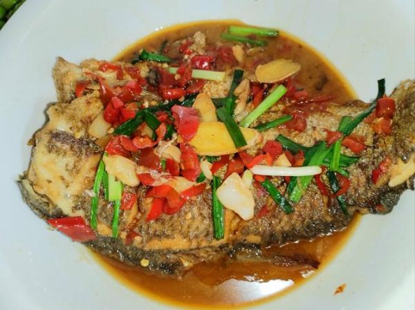 红烧鲈鱼怎么做_红烧鲈鱼用不用先煎-第3张图片-山城妙识 红烧鲈鱼怎么做_红烧鲈鱼用不用先煎-第3张图片-山城妙识