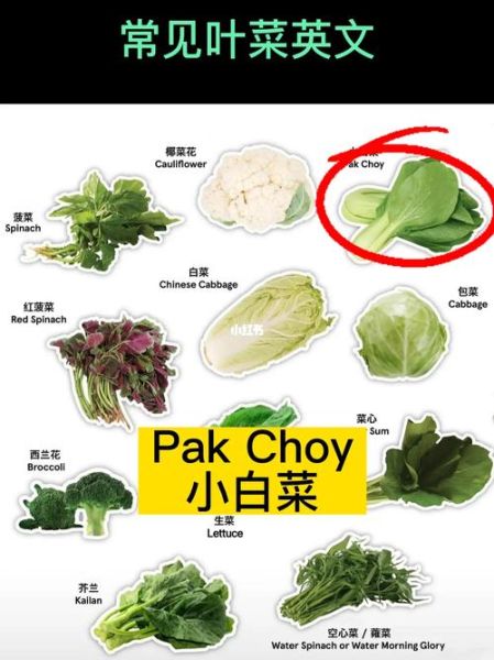生菜英语怎么说_lettuce发音怎么读-第1张图片-山城妙识 生菜英语怎么说_lettuce发音怎么读-第1张图片-山城妙识