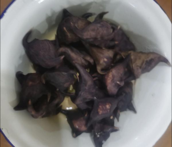 菱角怎么吃_菱角吃法大全-第2张图片-山城妙识