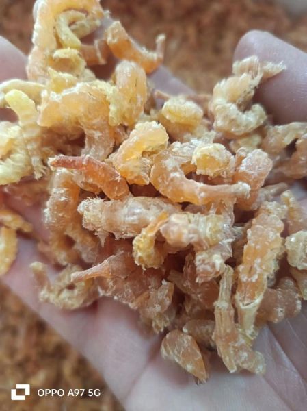 干海米怎么泡发_干海米炒什么菜好吃-第1张图片-山城妙识