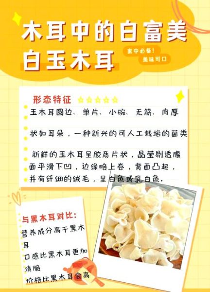 白玉木耳的功效与作用_白玉木耳怎么吃最好-第1张图片-山城妙识 白玉木耳的功效与作用_白玉木耳怎么吃最好-第1张图片-山城妙识