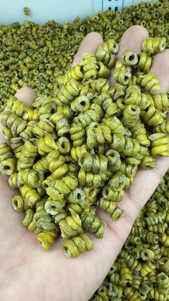 金钗石斛怎么吃_金钗石斛的正确吃法-第1张图片-山城妙识 金钗石斛怎么吃_金钗石斛的正确吃法-第1张图片-山城妙识