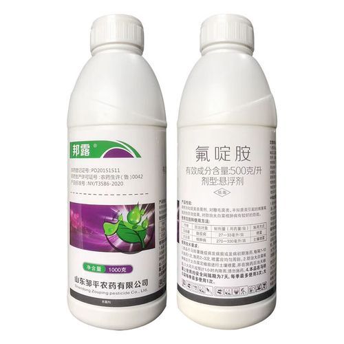 白菜根肿病怎么防治_白菜根肿病用什么药-第2张图片-山城妙识