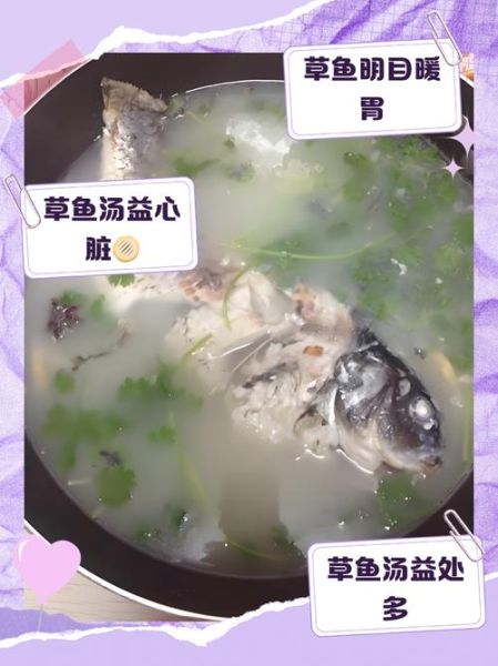 孕妇可以喝草鱼汤吗_草鱼汤的做法孕妇版-第1张图片-山城妙识