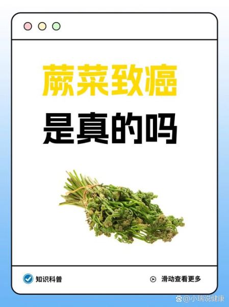 蕨菜致癌是真的吗_蕨菜的功效与作用及危害-第2张图片-山城妙识