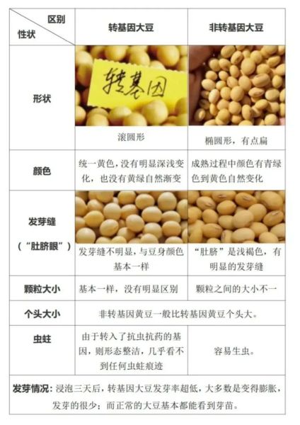 转基因大豆和非转基因大豆的区别_哪个更安全-第1张图片-山城妙识