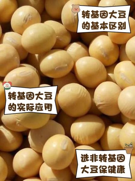 转基因大豆和非转基因大豆的区别_哪个更安全-第3张图片-山城妙识