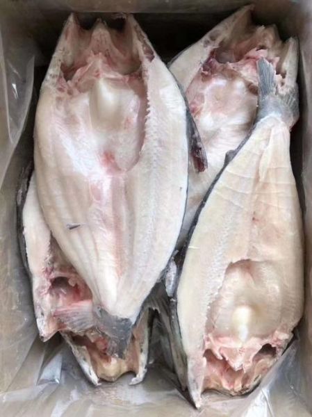 巴沙鱼图片大全_多少钱一斤-第3张图片-山城妙识