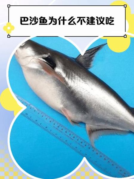 巴沙鱼图片大全_多少钱一斤-第2张图片-山城妙识