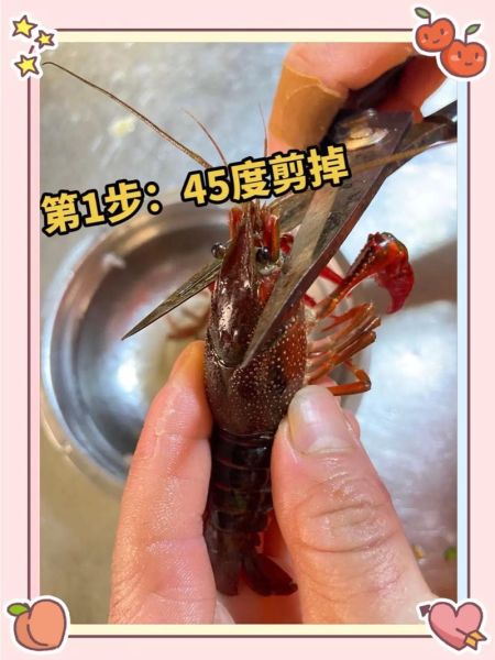 小龙虾怎么清洗_家常小龙虾做法-第3张图片-山城妙识