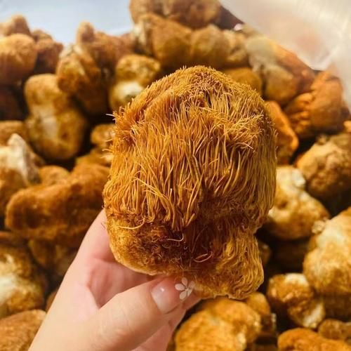 干猴头菇怎么泡发_干猴头菇的做法大全-第2张图片-山城妙识