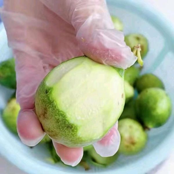 爱玉的功效与作用禁忌_什么人不能吃爱玉-第1张图片-山城妙识